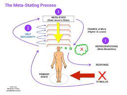 Michael Hall – Meta NLP Practitioner – SUCCESS COURSES SHOP